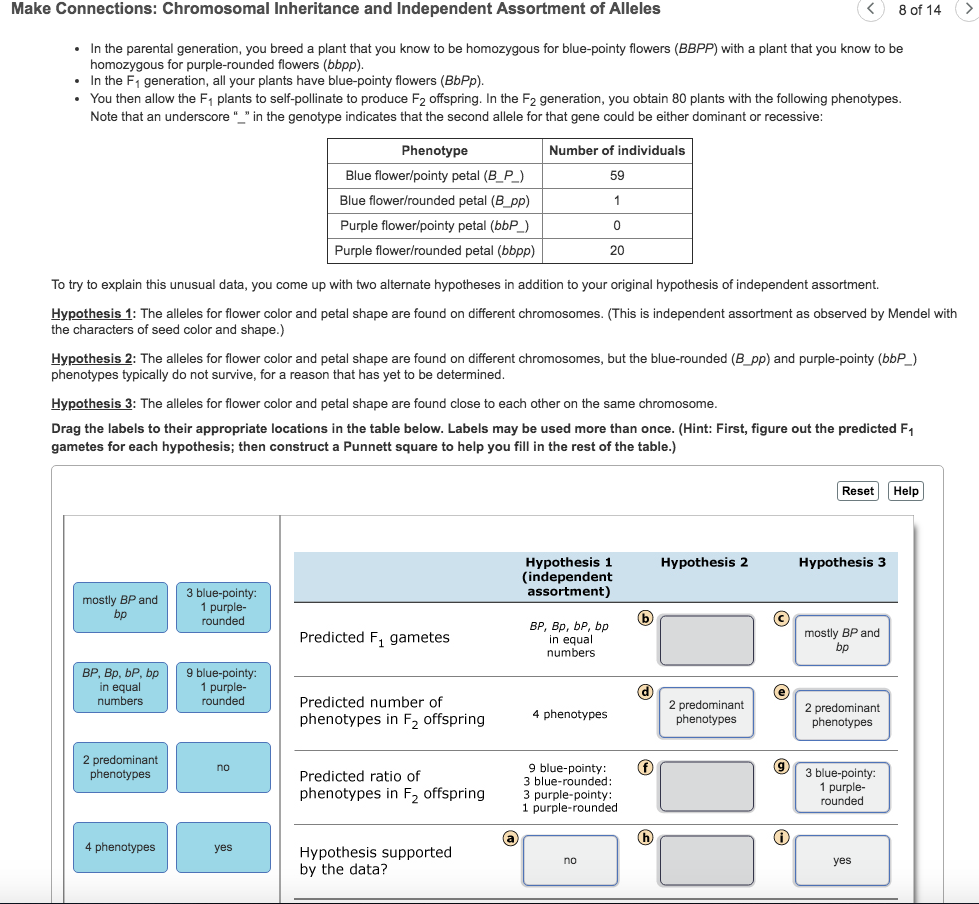 Solved Make Connections: Chromosomal Inheritance and | Chegg.com