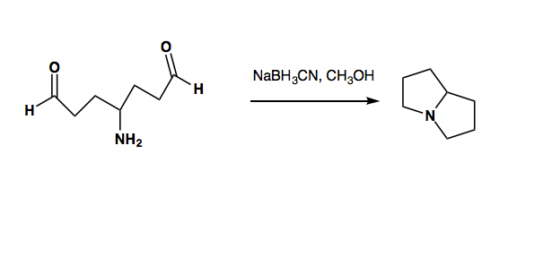 Solved O NaBH3CN, CHOH H H NH2 11 N Ou | Chegg.com