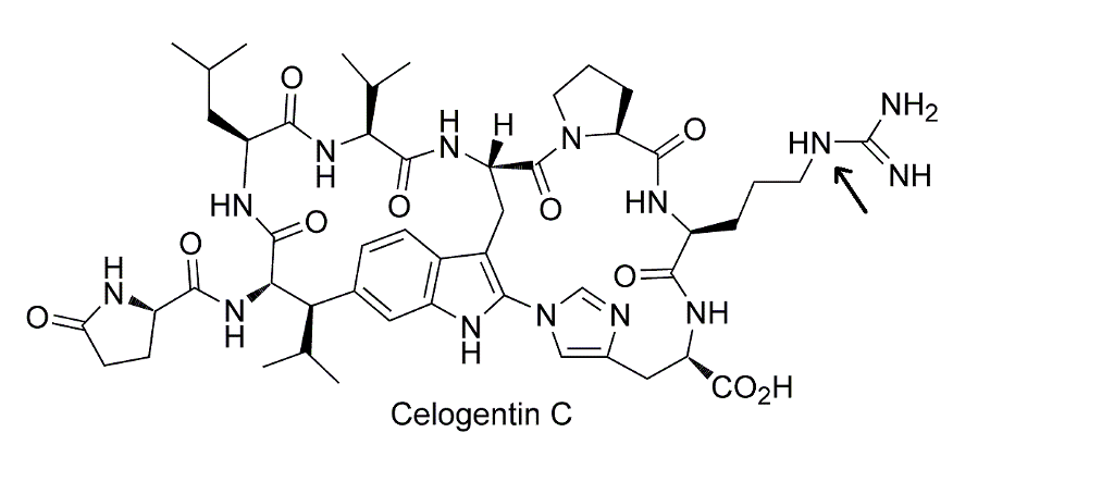 Solved 2. a) Label N terminus and C terminus b) how many | Chegg.com