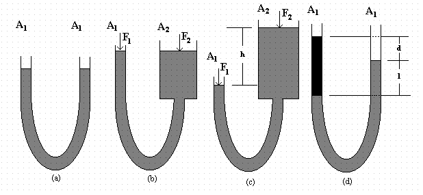 Solved Four tubes are set up in the lab at sea level as | Chegg.com
