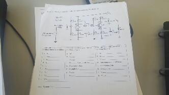 Solved GA- | Chegg.com