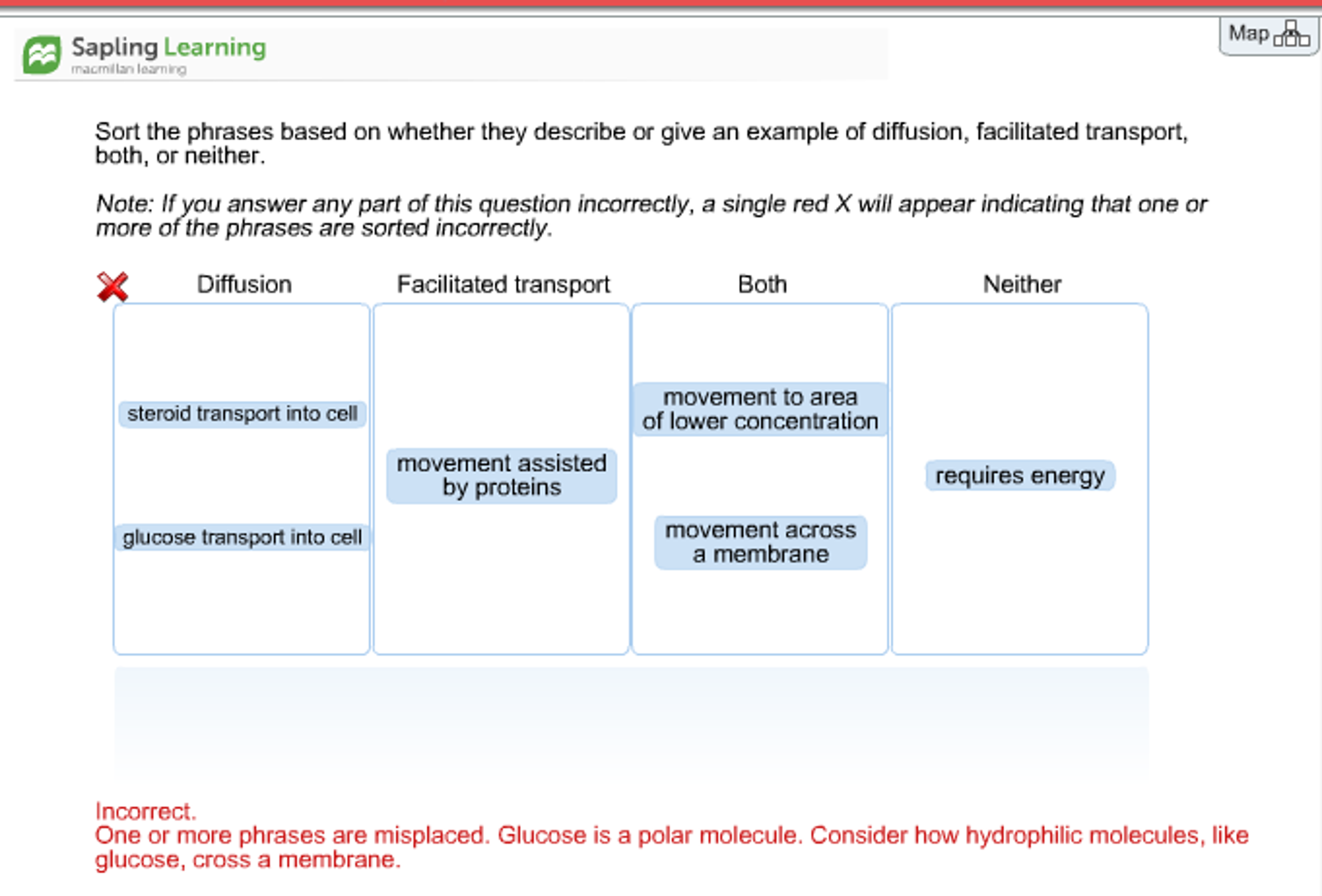 Solved Sort the phrases based on whether they describe or | Chegg.com