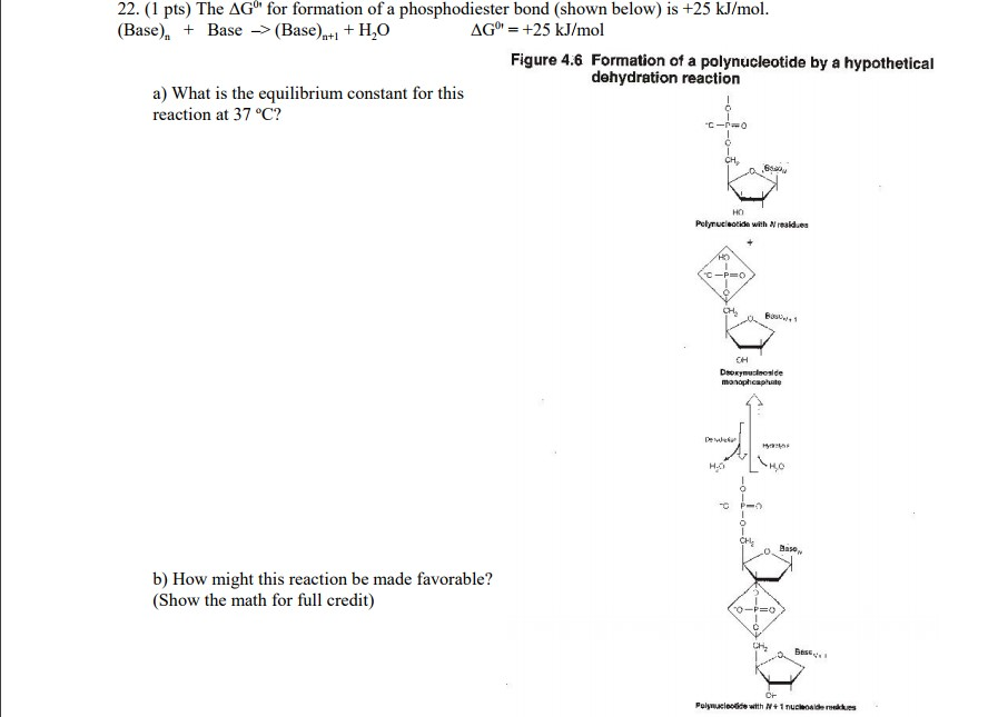 Solved The Delta G^0 for formation of a phosphodiester bond | Chegg.com