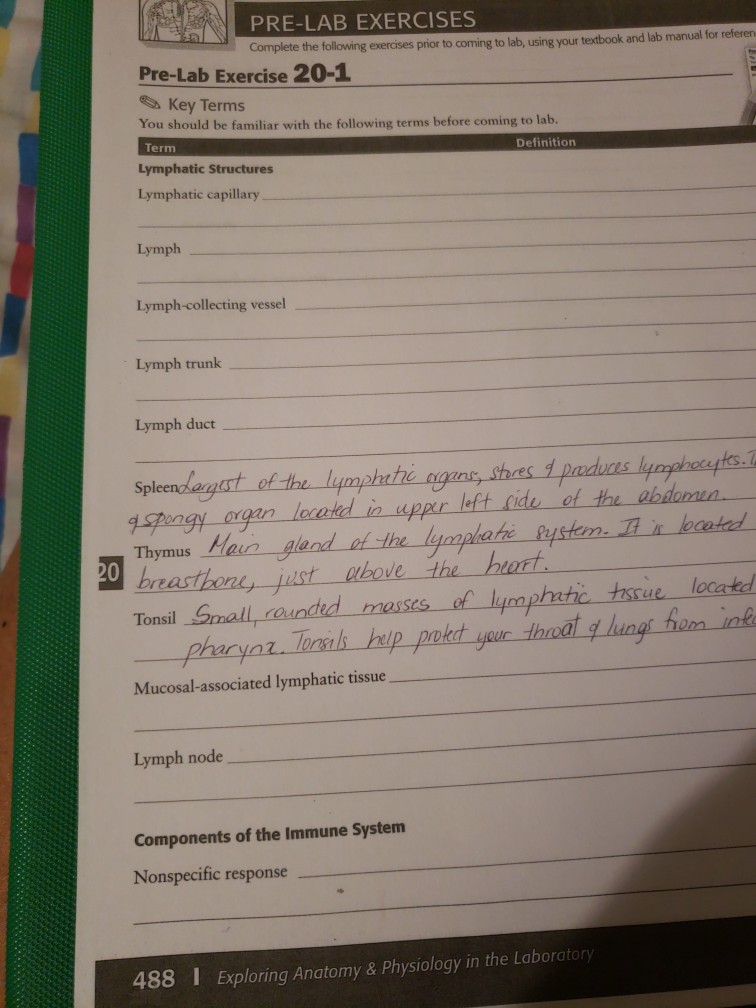 Solved PRE-LAB EXERCISES Complete the following exercises | Chegg.com