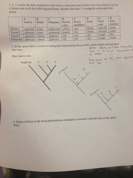 Solved Consider the data displayed in the taxon x character | Chegg.com