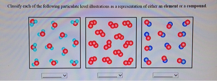 Solved Classify each of the following particulate level | Chegg.com