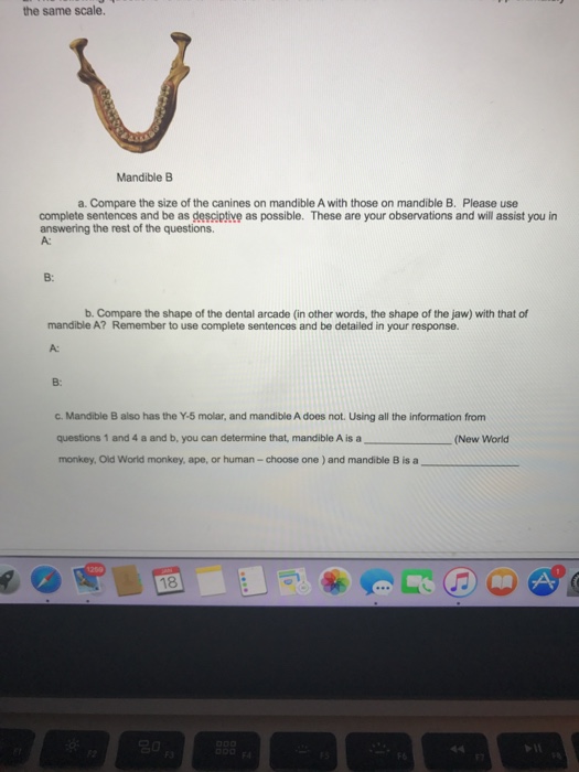 Solved ile Edit Insert Format Arrange View Share Window Help | Chegg.com