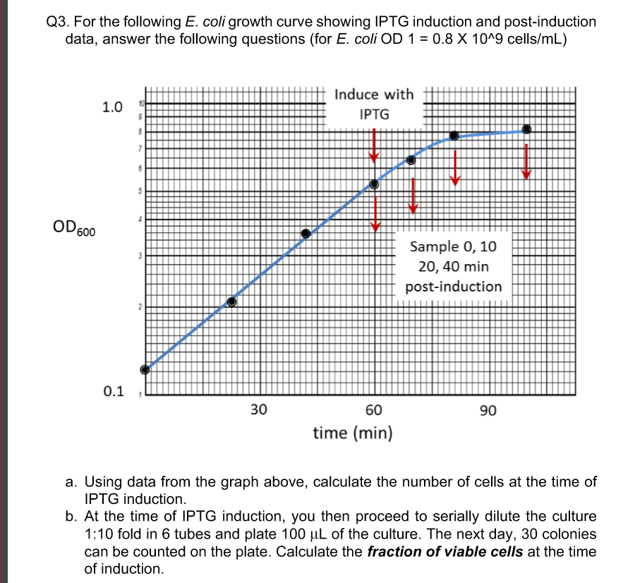 Solved Q3. For the following E. coli growth curve showing | Chegg.com