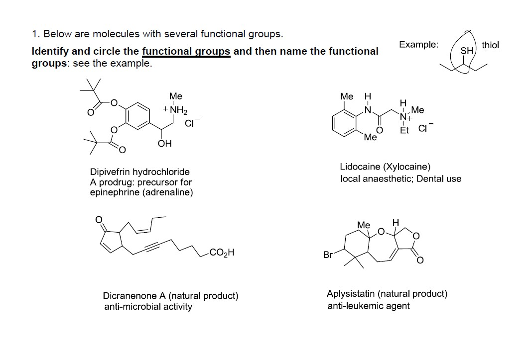 Solved Below are molecules with several functional groups. | Chegg.com