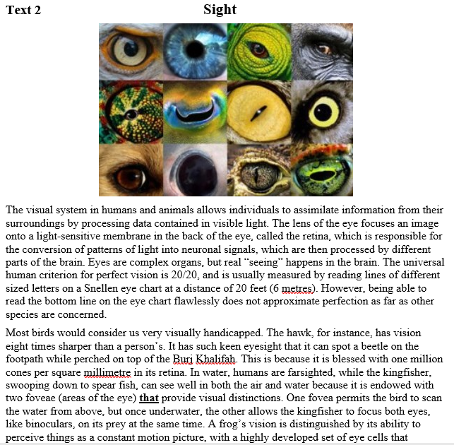 Solved Text 2 Sight The visual system in humans and animals | Chegg.com