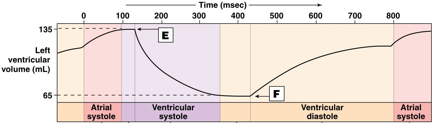 Solved observe the image above and answer the following: | Chegg.com