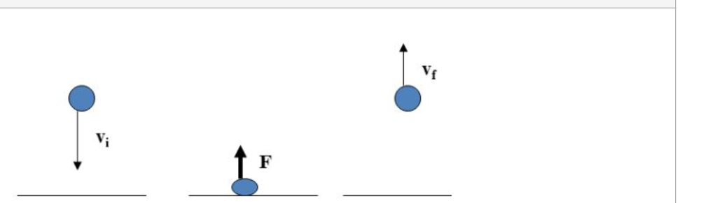 Solved A 1.0 kg ball drops vertically onto a floor, hitting | Chegg.com