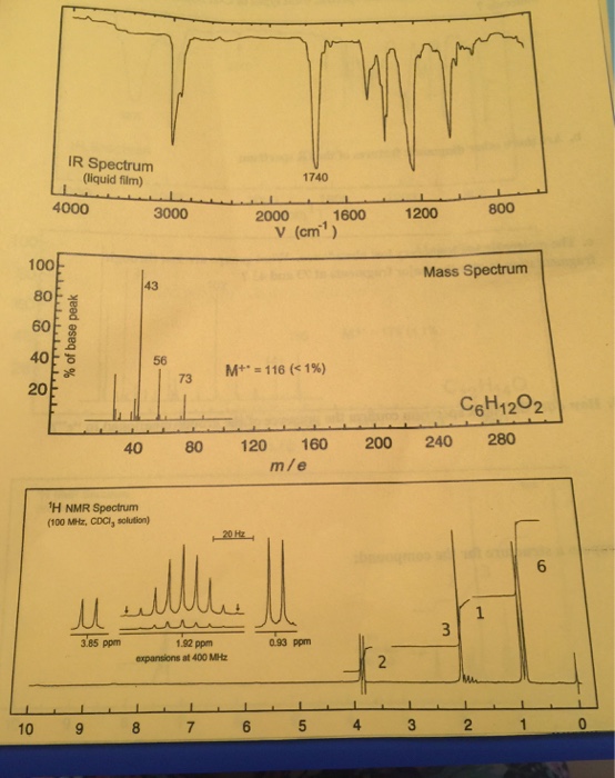 Solved IR Spectrum 1740 film) 4000 00 800 3000 1200 2000 v | Chegg.com