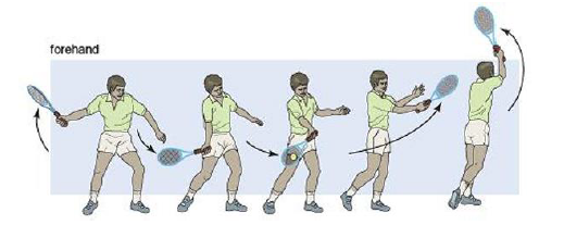 Solved During a tennis forehand shot, the maximum racket | Chegg.com