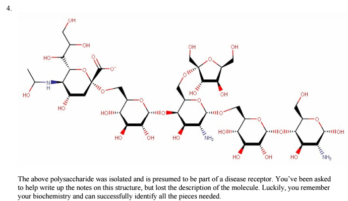 OH OH HO OH HO HO OH HO OH HO NH HO 0H NH2 The above | Chegg.com