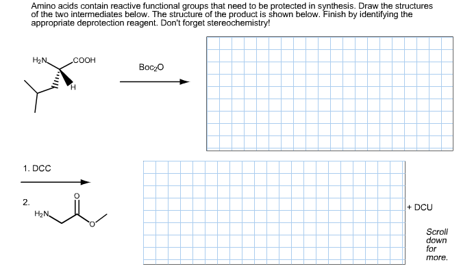 Solved Amino acids contain reactive functional groups that | Chegg.com