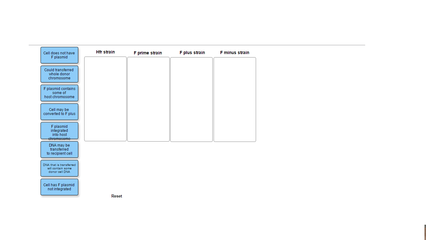 Solved Hfr strain production Place each label in the | Chegg.com