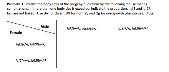 Predict the body sizes of the progeny pups from by | Chegg.com