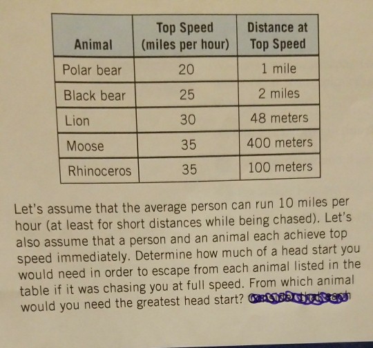 Solved Top Speed Distance at Polar bear Black bear Lion | Chegg.com