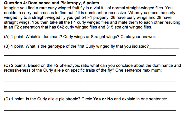 Solved Imagine you find a rare curly winged fruit fly in a | Chegg.com