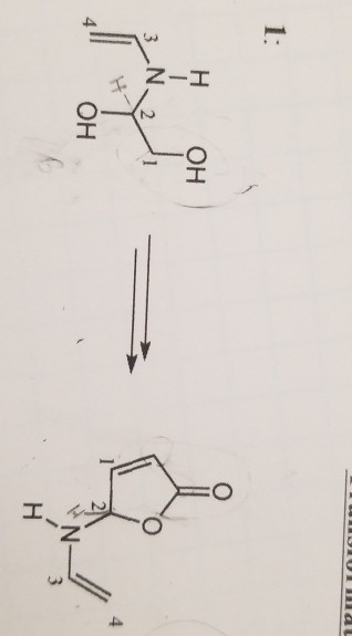 Solved H OH OH ?N | Chegg.com