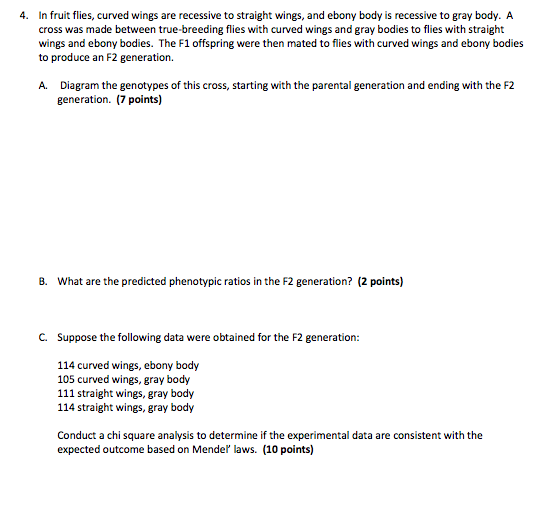 Solved In fruit flies, curved wings are recessive to | Chegg.com