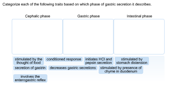 Solved Categorize each of the following traits based on | Chegg.com