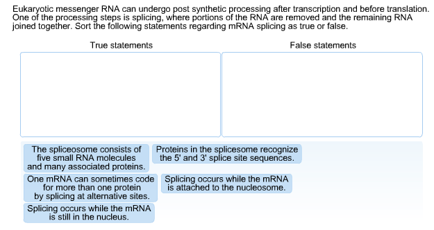 Solved Eukaryotic messenger RNA can undergo post synthetic | Chegg.com