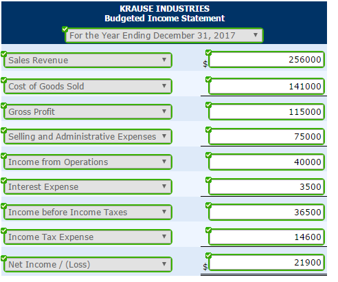 Income Statement Example Wiley Plus