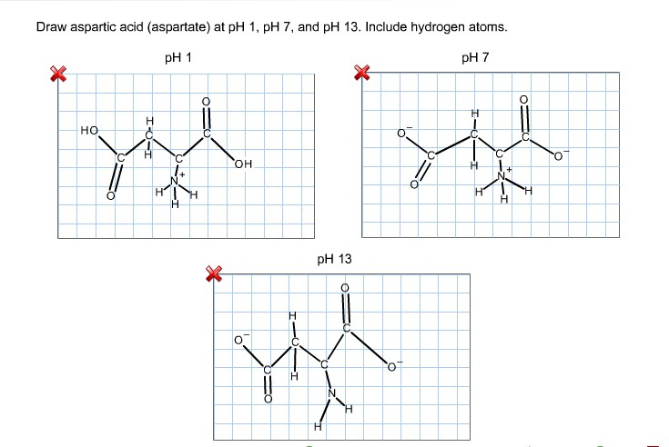 Solved Draw aspartic acid (aspartate) at pH 1, pH 7, and pH | Chegg.com
