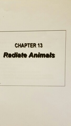 CHAPTER 13 Radiate Animals | Chegg.com
