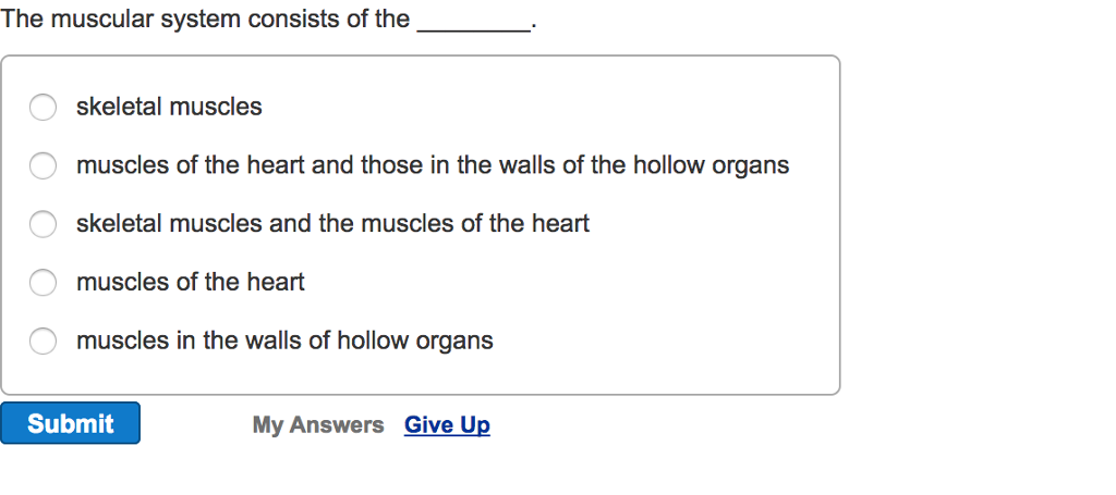 Solved The muscular system consists of the skeletal muscles | Chegg.com
