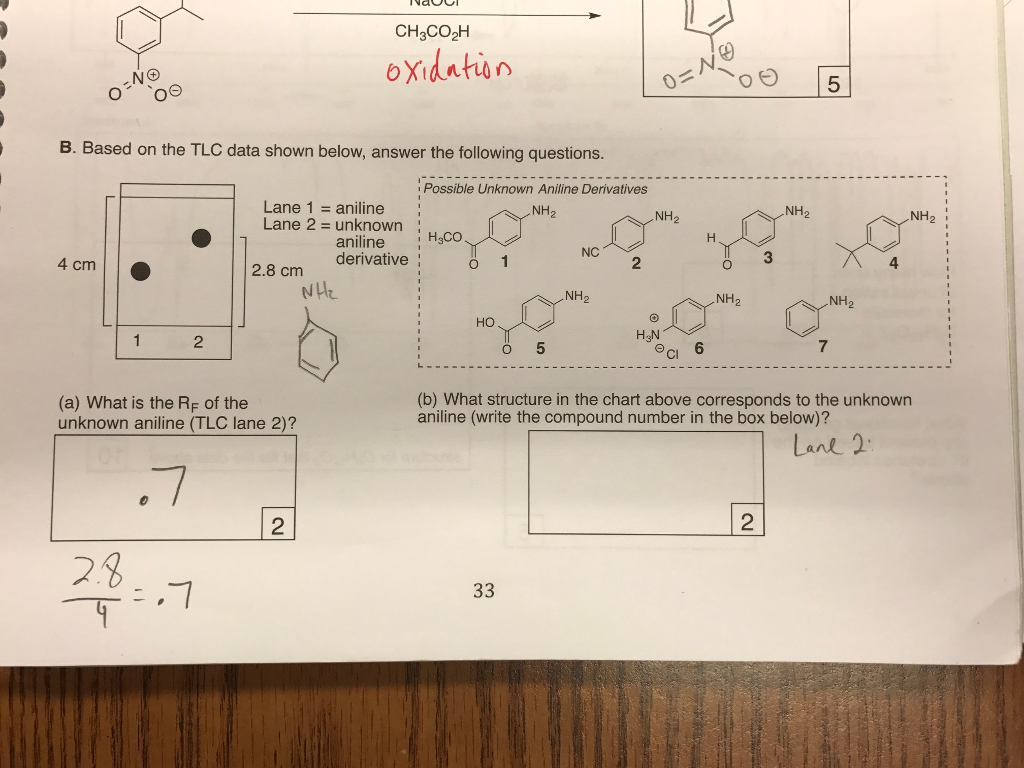 Solved What structure in the chart above corresponds to the | Chegg.com