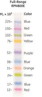 How do you make an SDS-PAGE graph? I know the X-axis | Chegg.com
