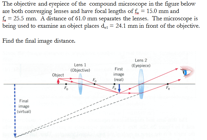 Solved The objective and eyepiece of the compound microscope | Chegg.com