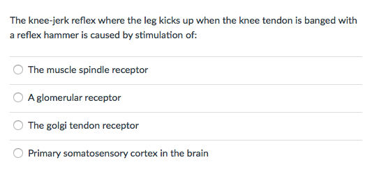Solved The knee-jerk reflex where the leg kicks up when the | Chegg.com