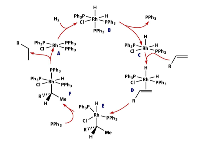 Solved PPh3 Ph3PPPha 1 H2 PPh 3 B Ph3Rh- pph3 1 Cl Cl PPh3 1 | Chegg.com
