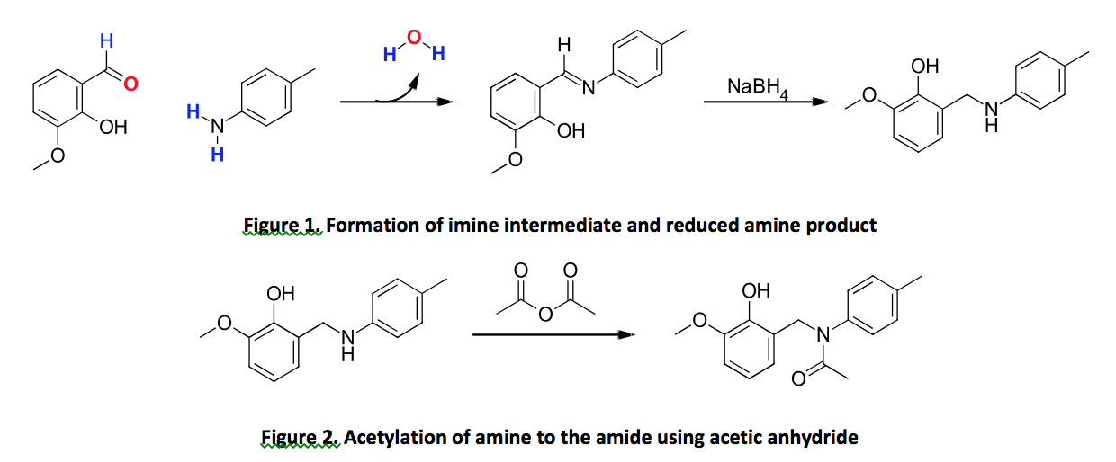Reductive Amination 1. In the reduction of the imine | Chegg.com