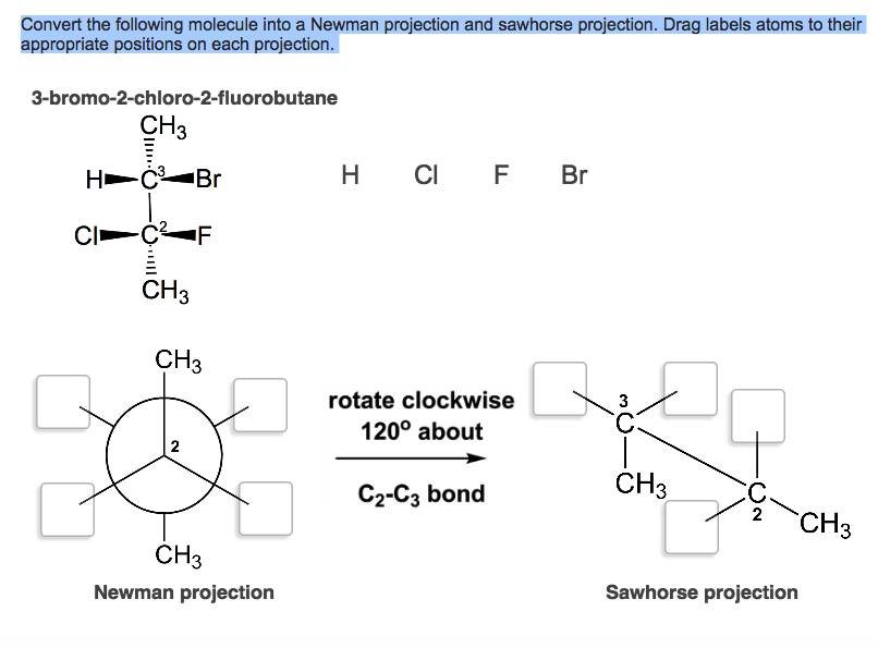 Solved Convert the following molecule into a Newman | Chegg.com Solved Convert the following molecule into a Newman | Chegg.com