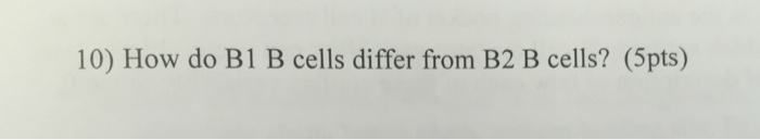 Solved 10) How do B1 B cells differ from B2 B cells? (5pts) | Chegg.com
