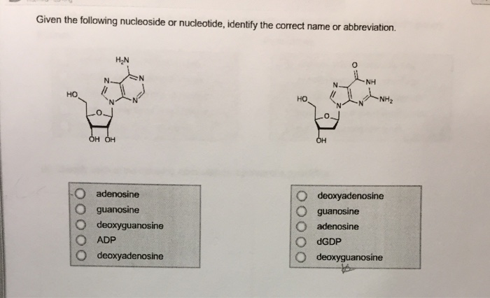 Solved Given the following nucleoside or nucleotide, | Chegg.com