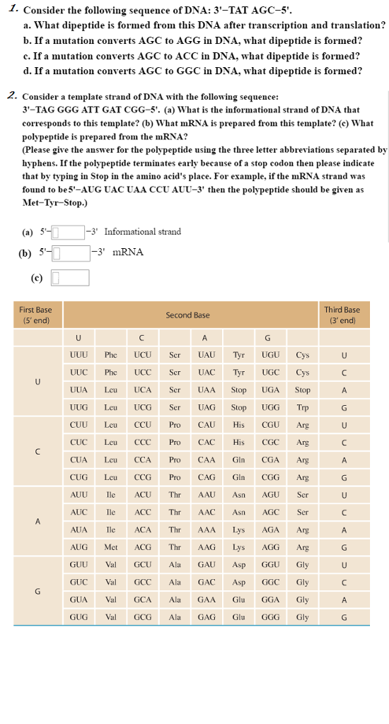 Solved Consider the following sequence of DNA: 3'-TAT | Chegg.com