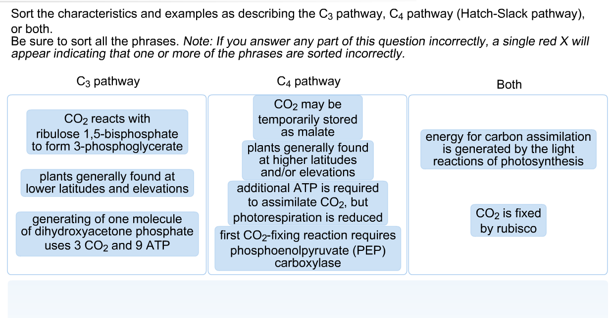 Solved Sort the characteristics and examples as describing | Chegg.com