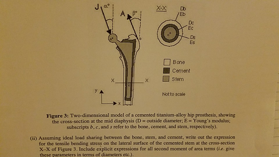 Eb Dc Ec Ds Es Bone Cement Stem Not to scale Figure | Chegg.com
