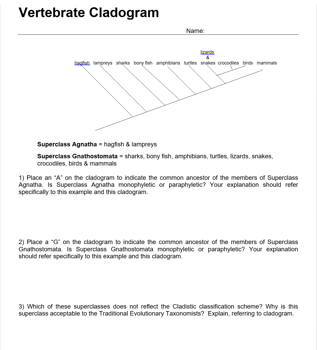 Solved Cladogram help, this is really easy I just want to | Chegg.com