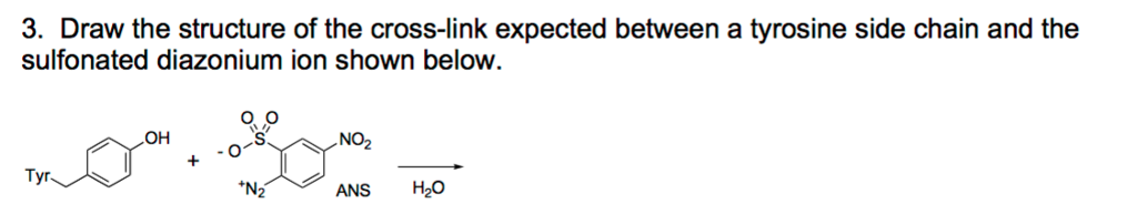 Solved 3. Draw the structure of the cross-link expected | Chegg.com
