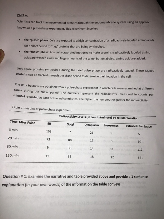 Solved Scientists can track the movement of proteins through | Chegg.com