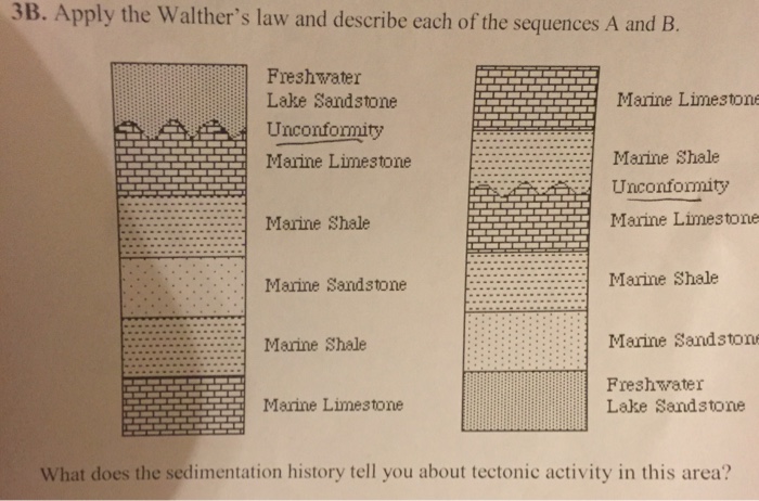 Solved Apply the Walther's law and describe each of the | Chegg.com
