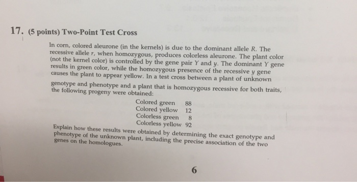 Solved In corn, colored aleurone (in the kernels) is due to | Chegg.com