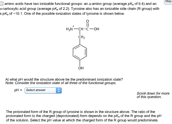 Solved Map amino acids have two ionizable functional groups: | Chegg.com